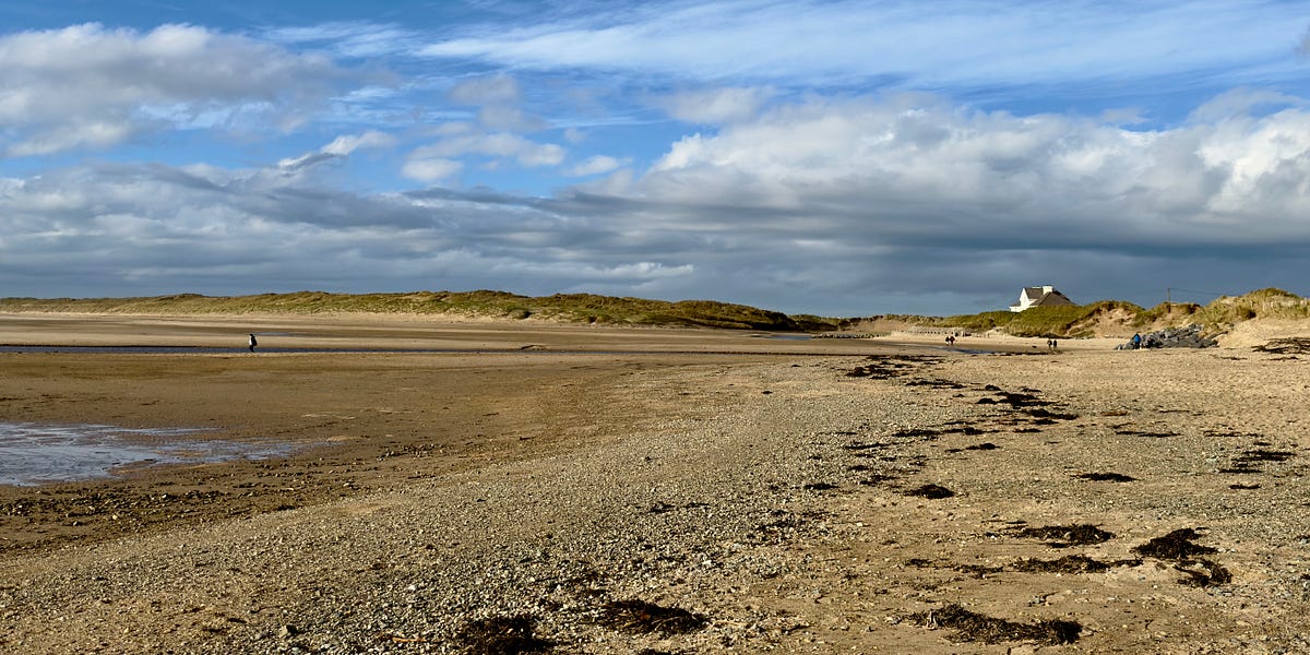 I'm a Survivor, But Not For Long - by Georgia Clare