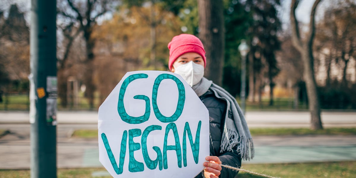 The Vegan Movement Has Failed. It's Time to Build a Movement for Rescue.