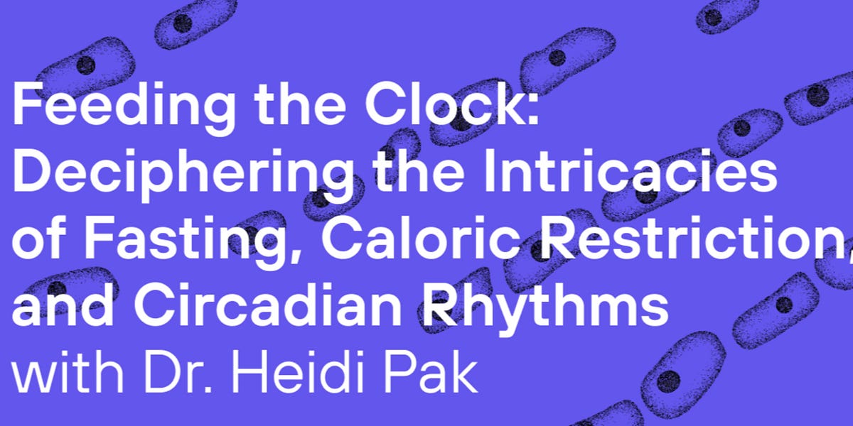 Feeding the Clock: Deciphering the Intricacies of Fasting, Caloric ...