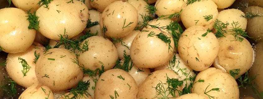 Small Potatoes - by Paul Bloom - Small Potatoes