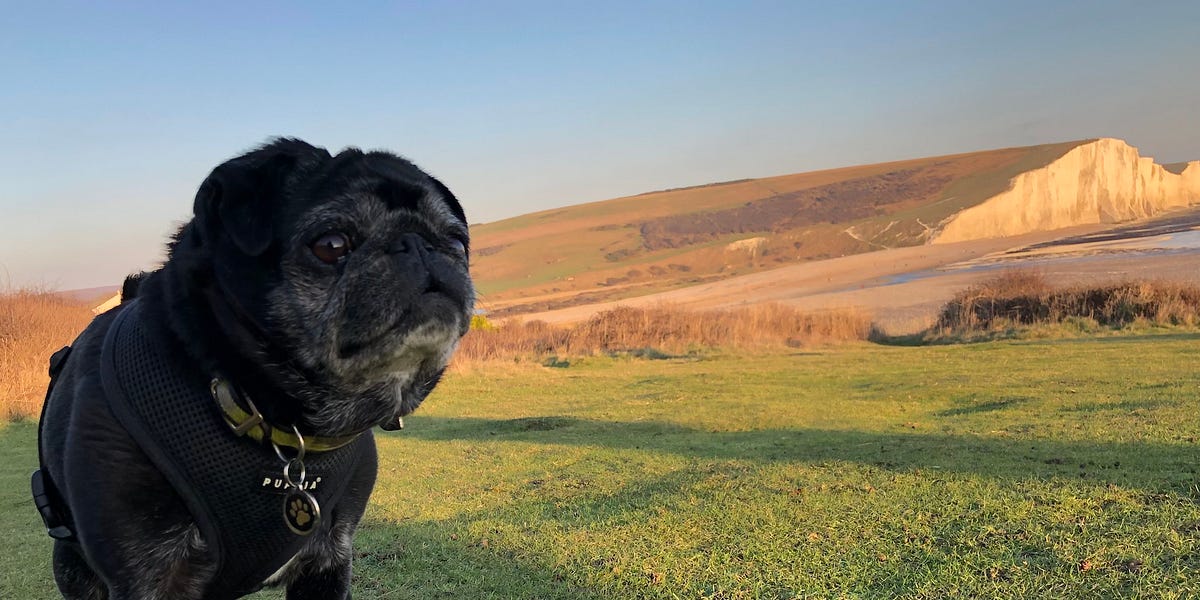 How to Say Goodbye - S J Watson's Compendia