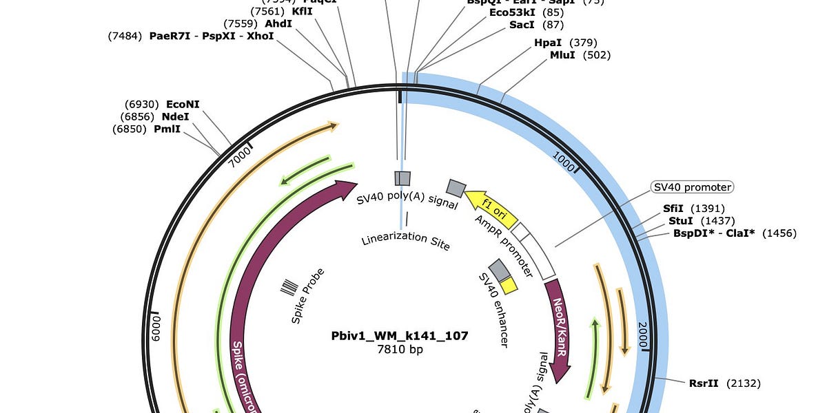 DNA fragments detected in monovalent and bivalent Pfizer/BioNTech and ...