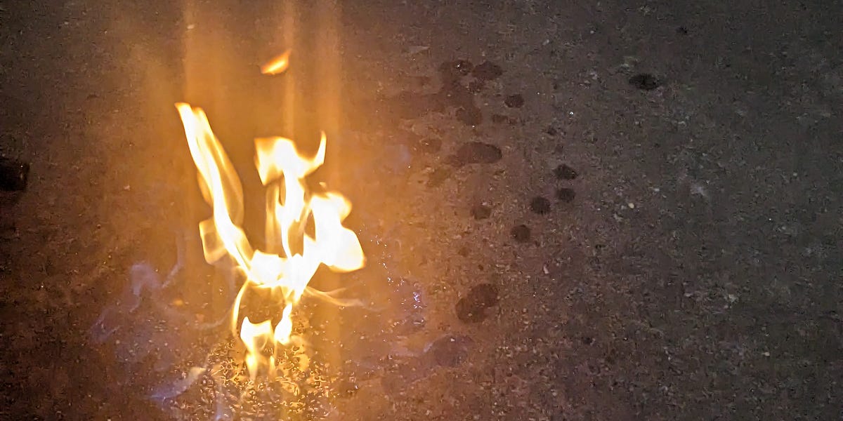 little dancing lives - Nathalie Flo’s Substack