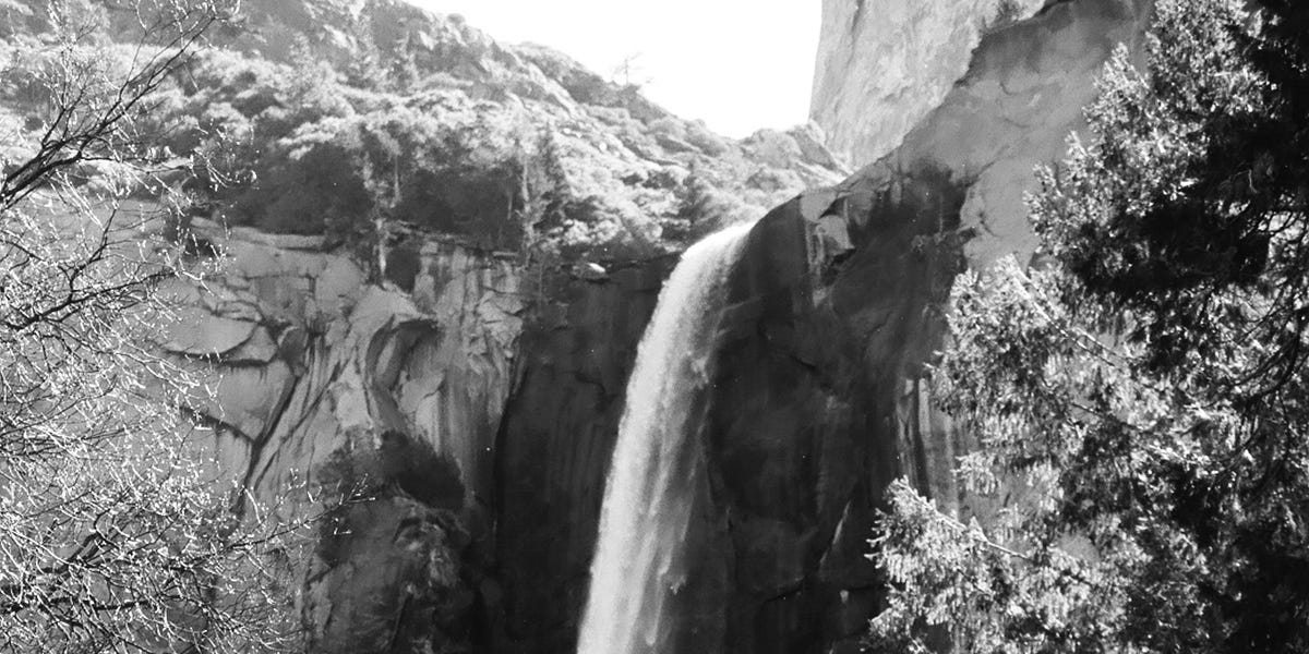 Core, Food, and Simplicity - by Janet Salsman