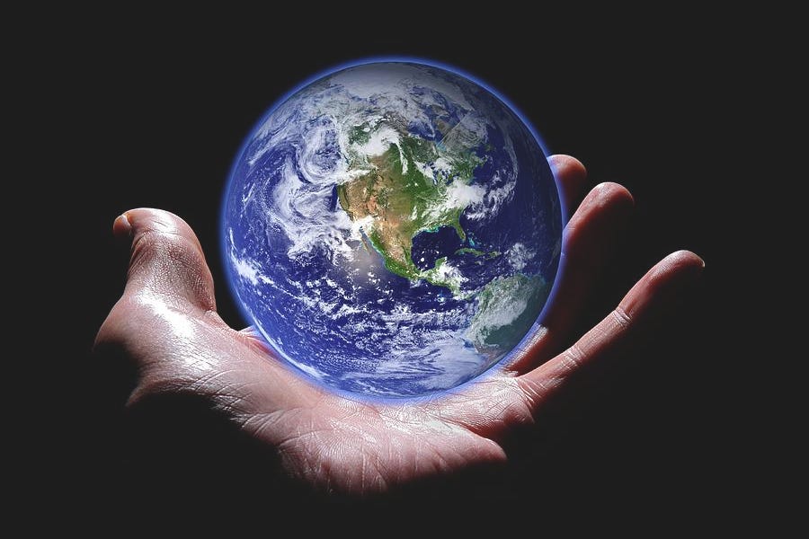 Universal Declaration of Rights of Nature