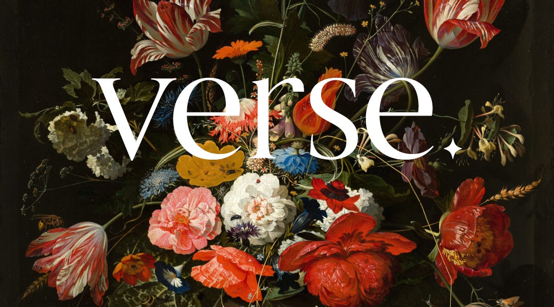 Welcome to VERSE! - by Cameron Scott - VERSE