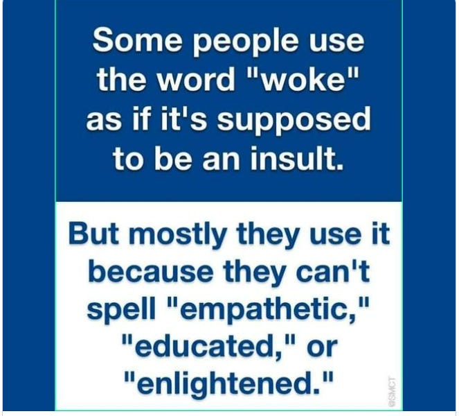 Why I'm no longer woke - by Erica Etelson