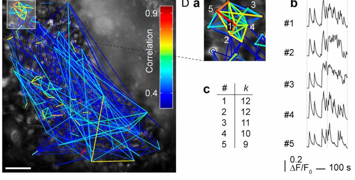 It's in the head 3 (or on networks) - by Dr Erik Smedler