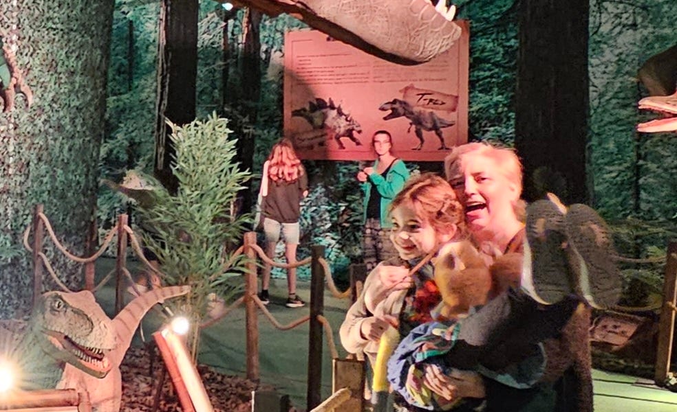 Go Fund Me - by Kathryn - Equispirit - Equispirit Musings