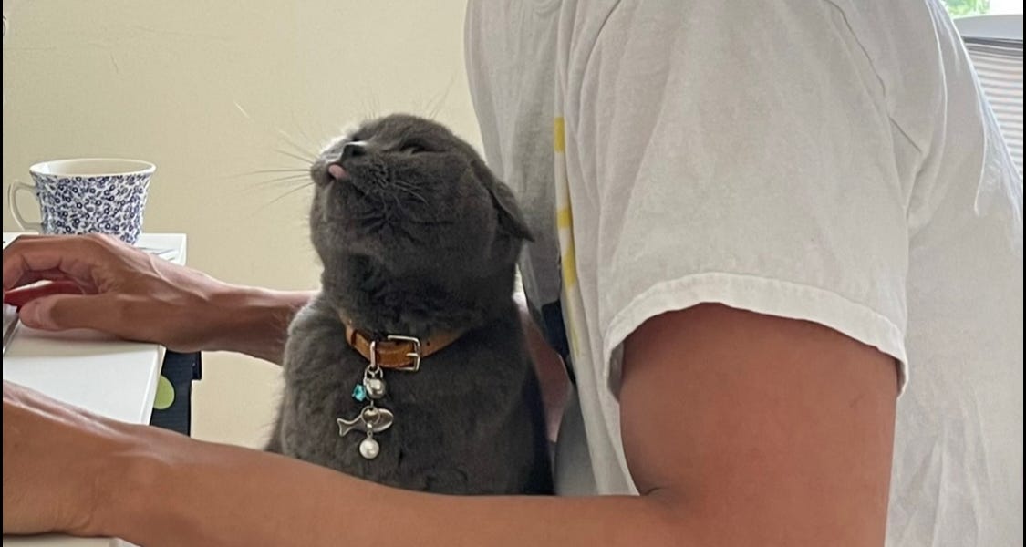 'Now For You': 5000 Subscribers