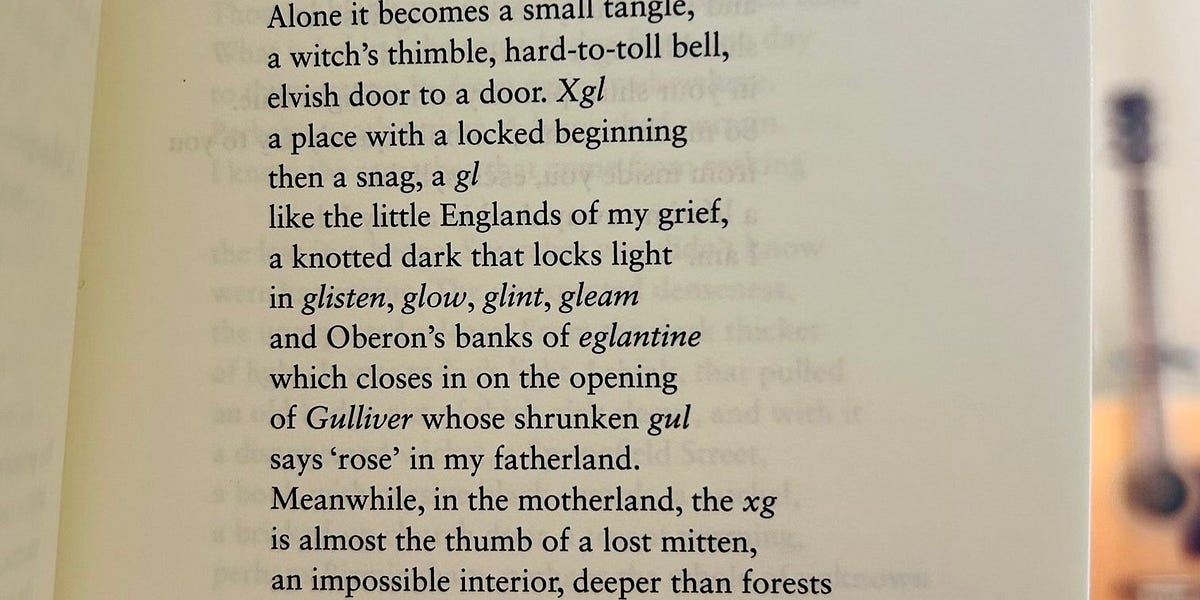 #4: Zaffar Kunial's 'Foxglove Country' - by Maddy Bazil