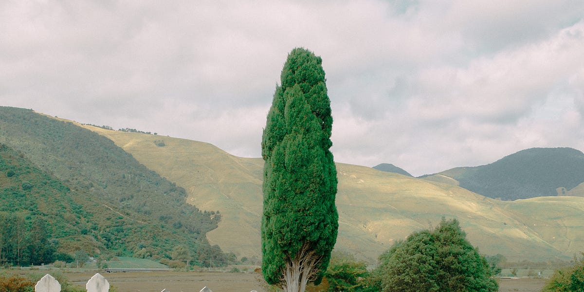 What inspires you? - by Andy Adams - FlakPhoto Digest