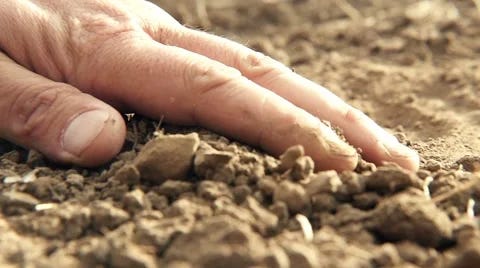 A Reflection on Humility - by Martin Greenwald, M.D.