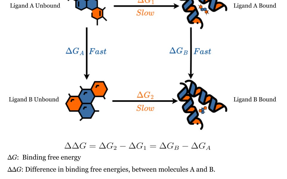 No-Code Relative Binding Free Energy (RBFE) Calculations with Prithvi