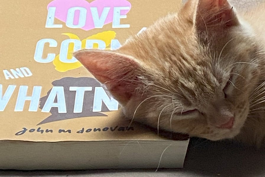 Evolution of a Dream - From the Desk of John M Donovan