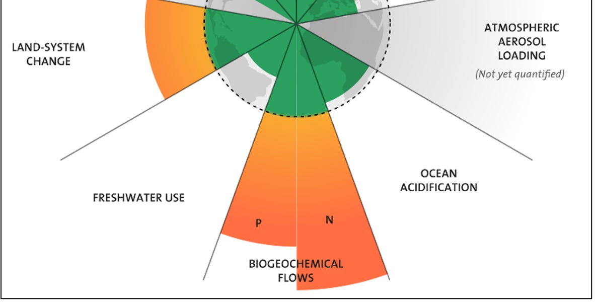Since nobody will save us - by Anne V Muhlethaler