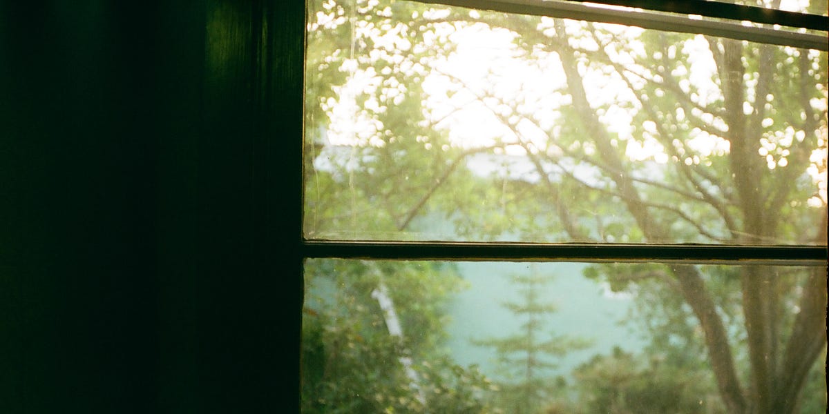 Q&A: Inspiration and personal voice - by Julia Bedell