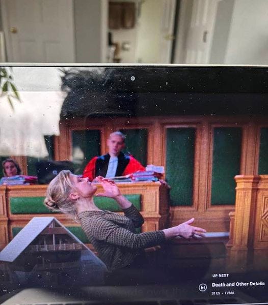 Anatomy of a Fall - by Laurie Stone