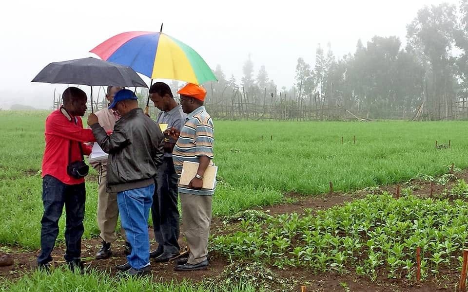 LUANAR Introduces Innovative Fertilizer Optimization Tool to Transform ...