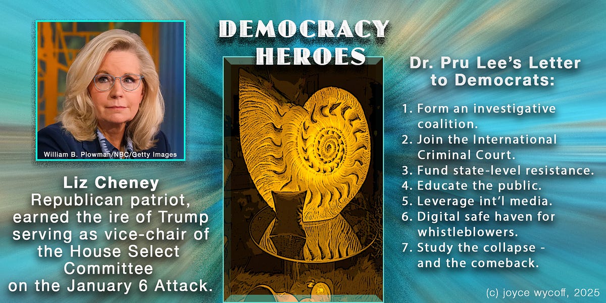 Dr. Pru Lee's (not Liz Cheney's) letter to Democrats