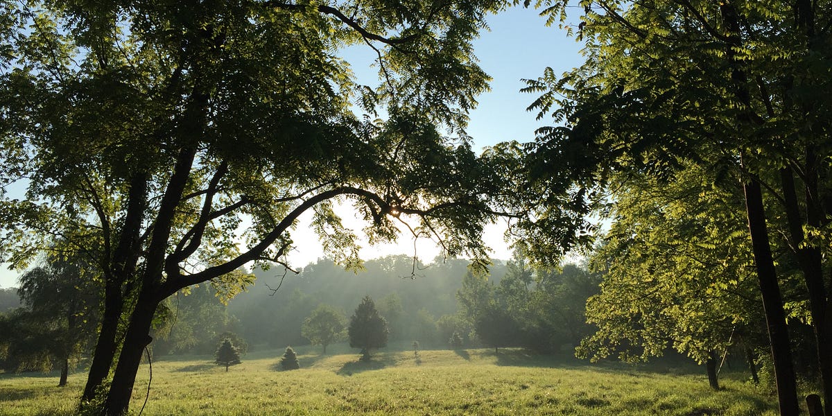 Before the Light - by Geneva Eby - One Brave Thing