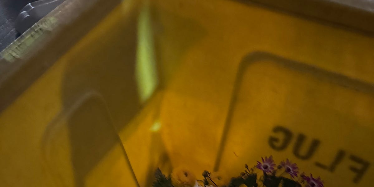 Feel So Different - by Sam Sodomsky - Electric Nebraska