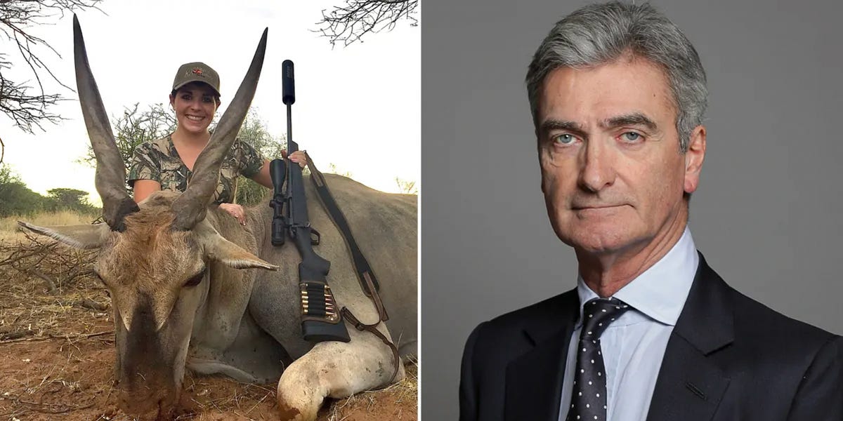 Notorious fox hunters just helped sabotage the trophy hunting bill's ...
