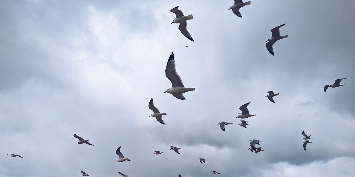 Your Tech Stack is bloated - Union Works