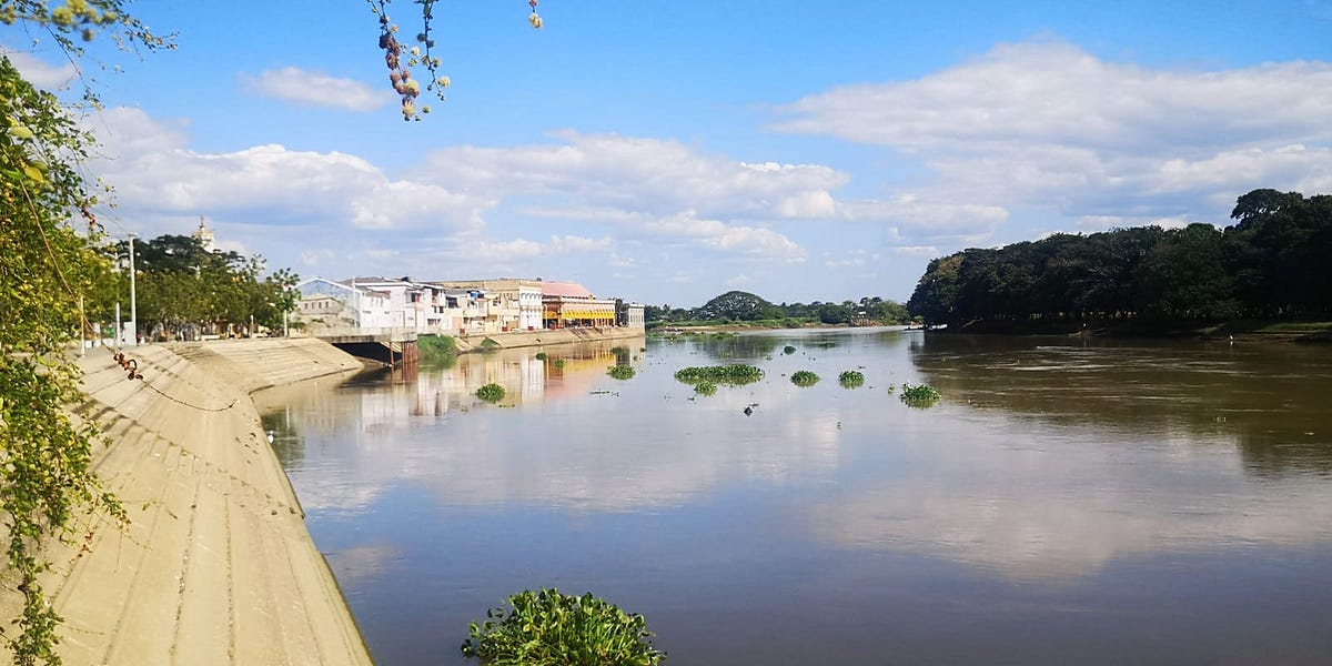 El Corroncho, símbolo de la identidad Caribe