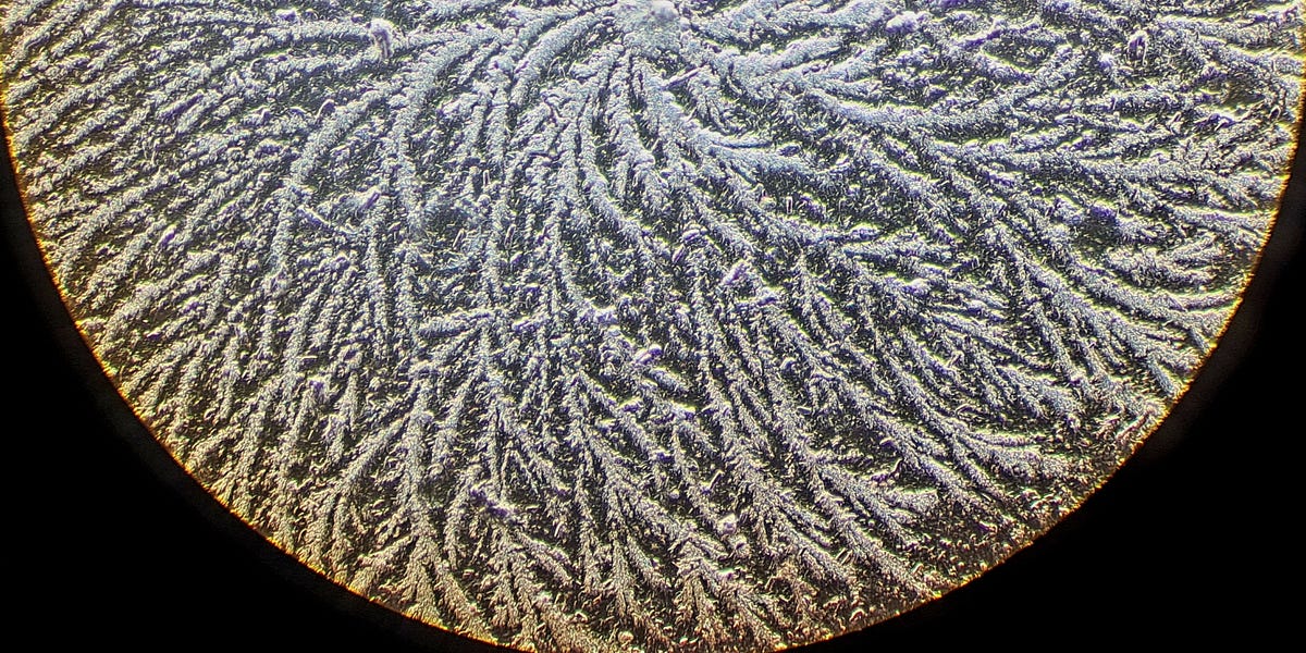 Flonase under microscope - Will: Micronaut