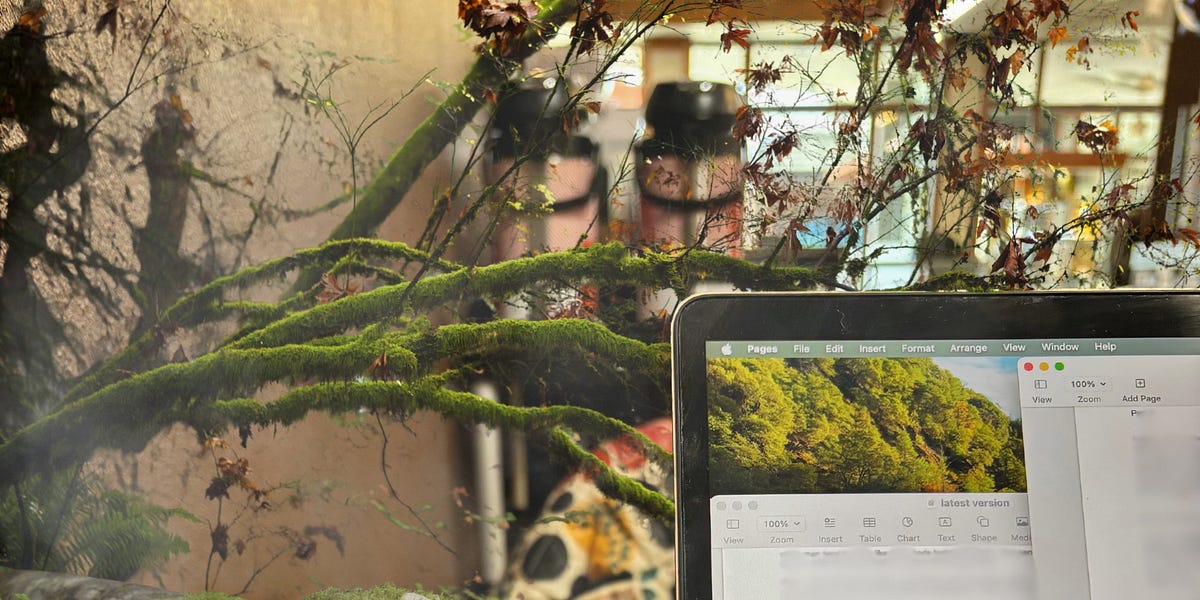 Hungry Women - by Meg Conley