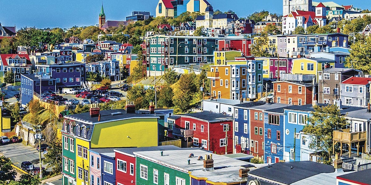 A SMATTERING OF NEWFOUNDLAND - by Marilyn Karr