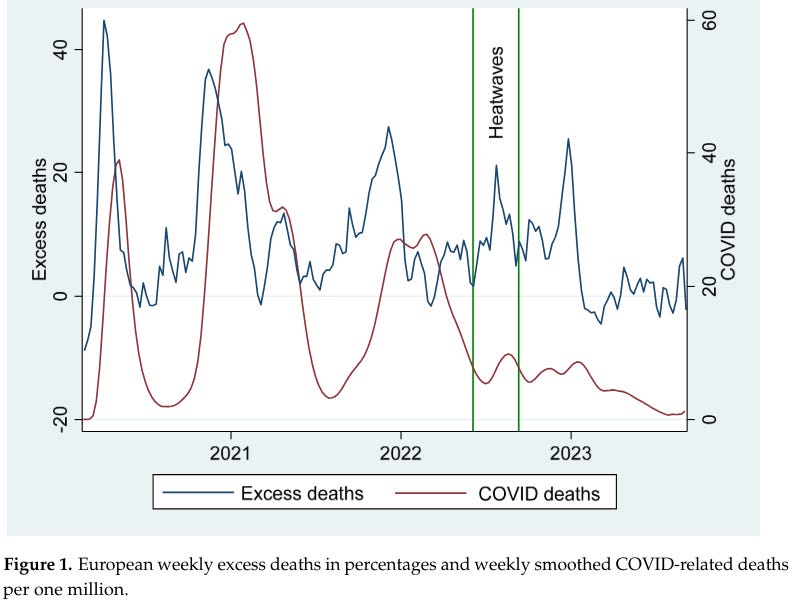 Were the 2022 Summer Heatwaves a Strong Cause of Europe’s Excess Deaths?