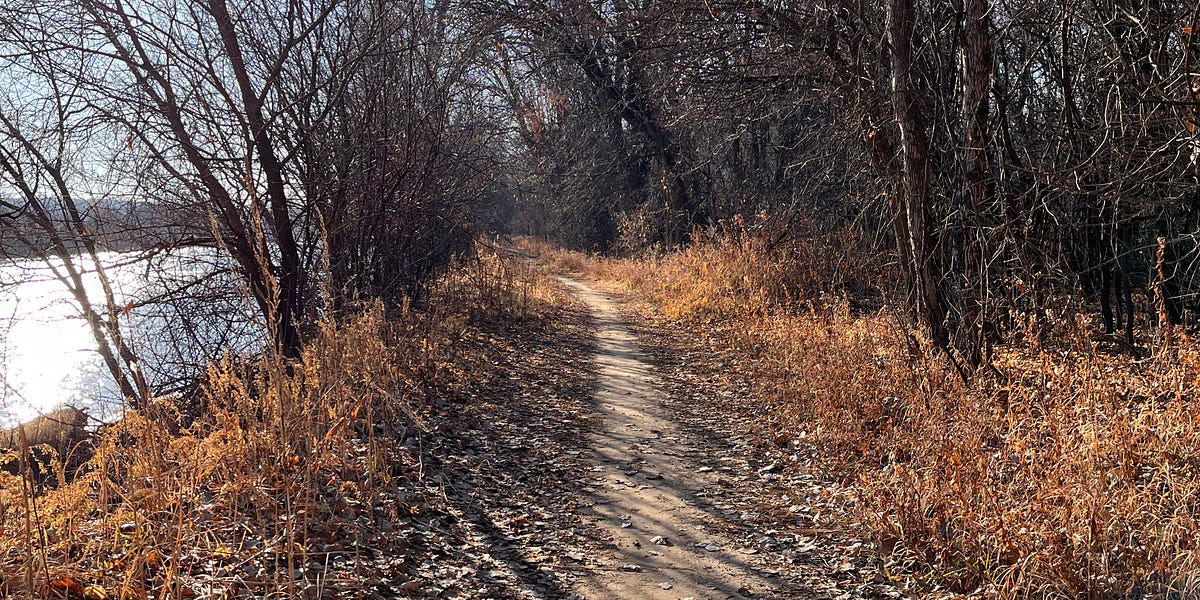 We rest in darkness - by Carmine Hazelwood - A dryad's tale