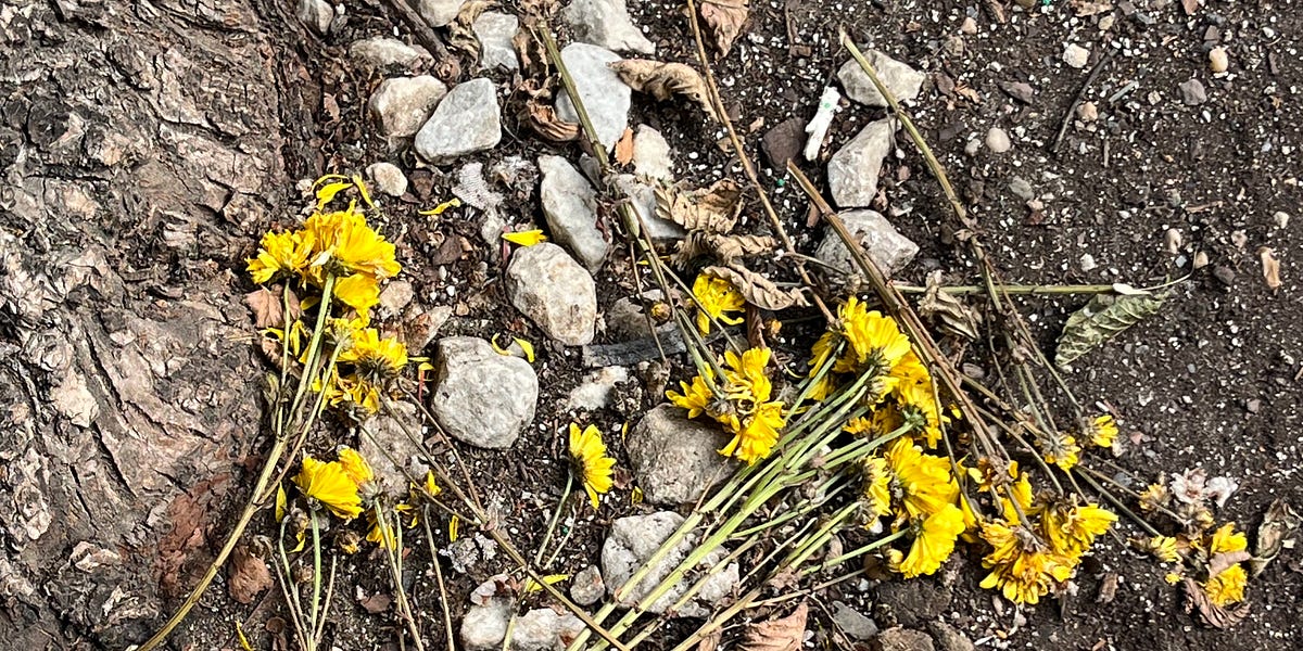 The Things We Don’t Know - by Miss Sober Jane