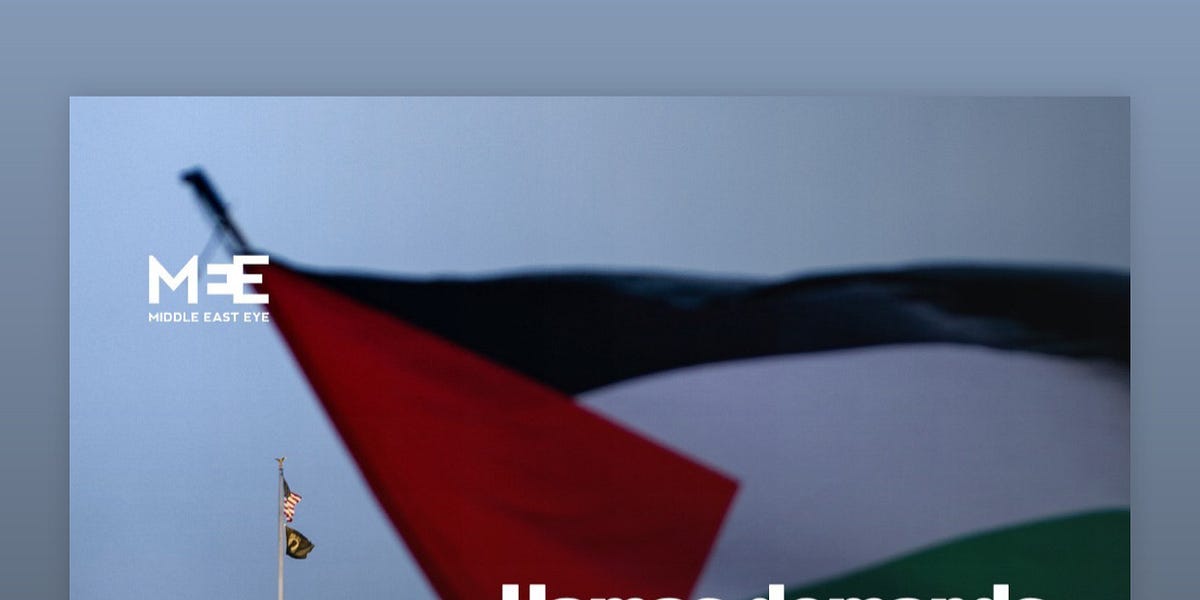 Palestinian Resistance - by Erin Levee - Erin’s Substack