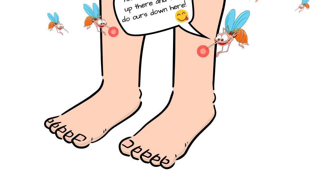 The Miamian Mosquito’s GTM Strategy - by Shlomi Ron