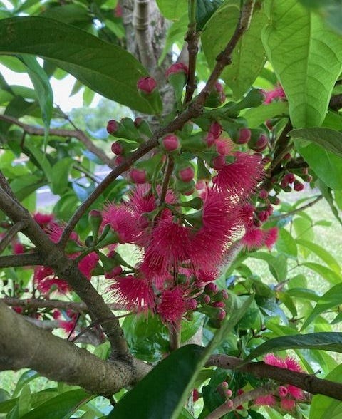 The Long Game - Charles Hugh Smith's Substack