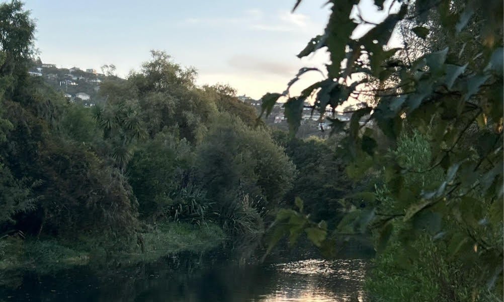 Māori, mauri, microscopes, and mutuality