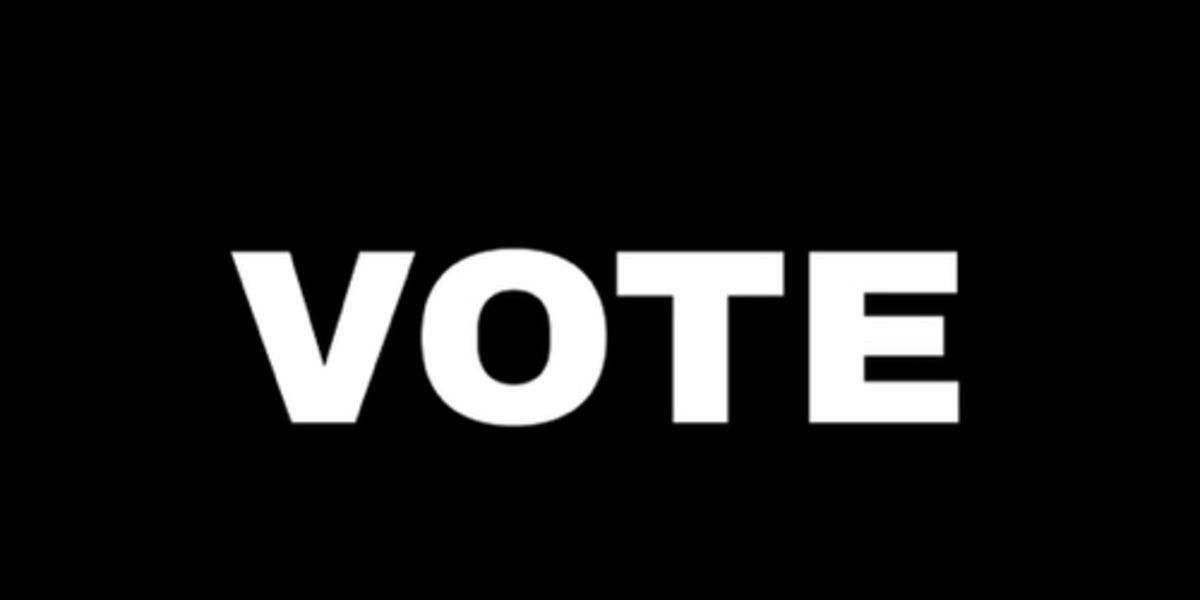 Vote! (for Dems) - by Scott Dworkin - The Dworkin Report