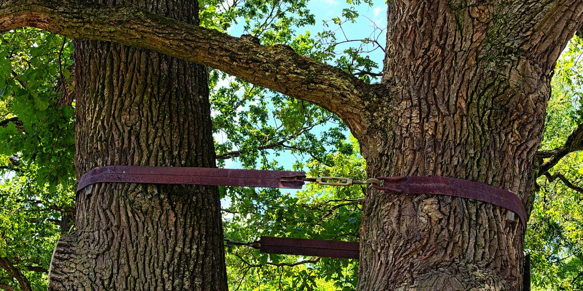 Some Modern Impediments to Romance, Part II