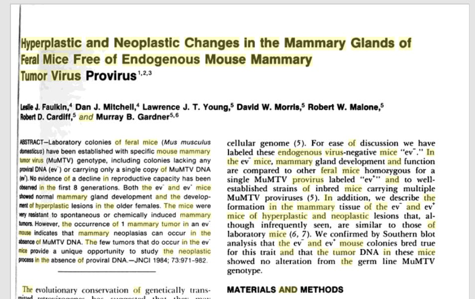 Hyperplastic and neoplastic changes in the mammary glands of feral mice ...