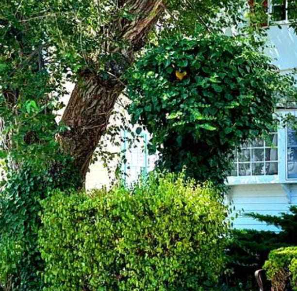 Comments - The Third Great Truth - by Marjie Alonso