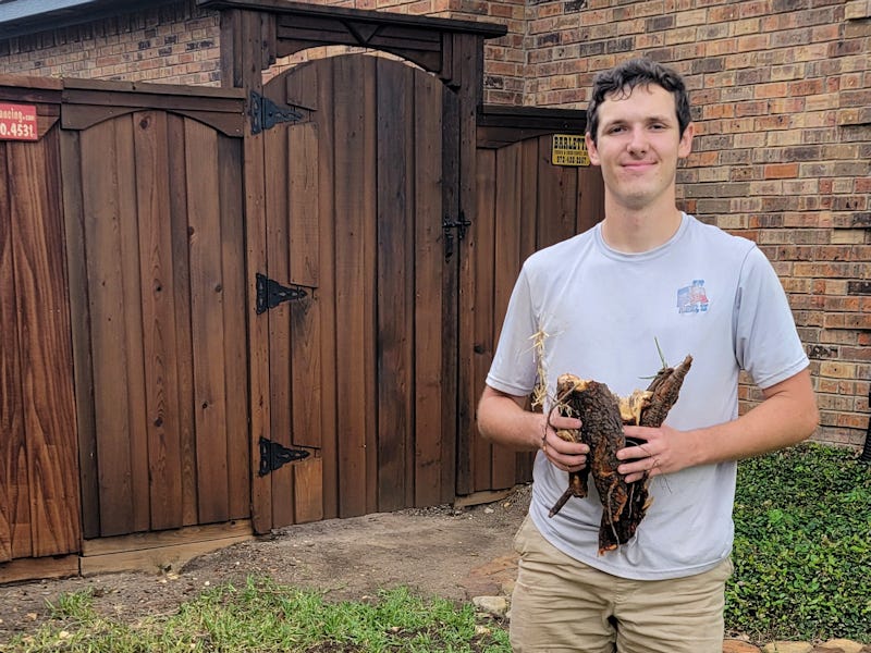 OMG! They Still Make Good Kids - by Joseph Dougan