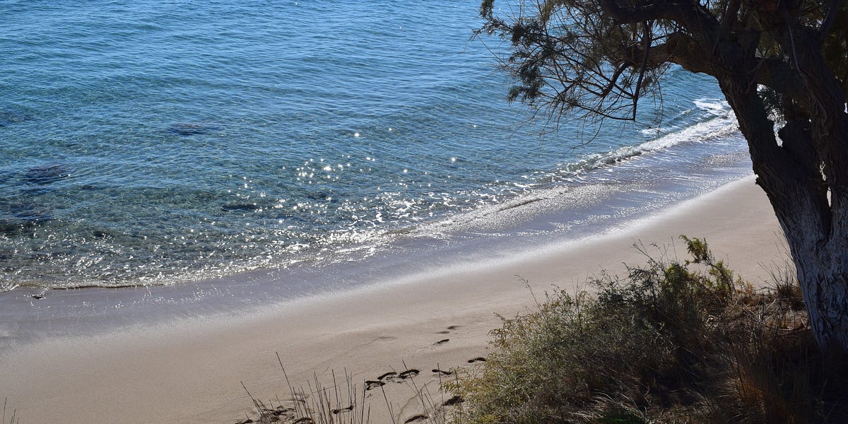 Why this, why now? - by Alison Smith - Potency