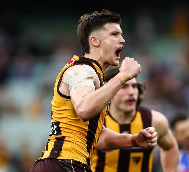 Player Ratings: Hawks vs Lions (R13) - Hawks Insiders