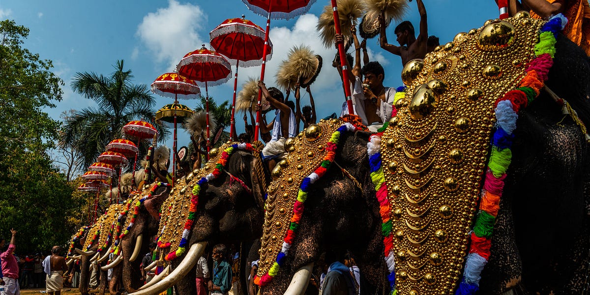 Mastering Depth of Field: Shallow vs. Deep Focus