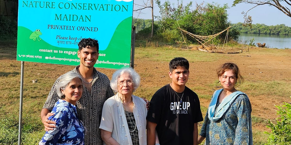 Our bamboo-flavoured pringle - by Karena and Ishan Shanavas