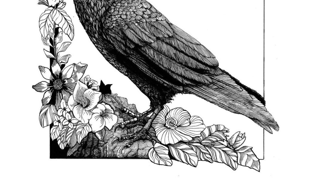 A Very Talon-ted Artist - The Inktober Newsletter