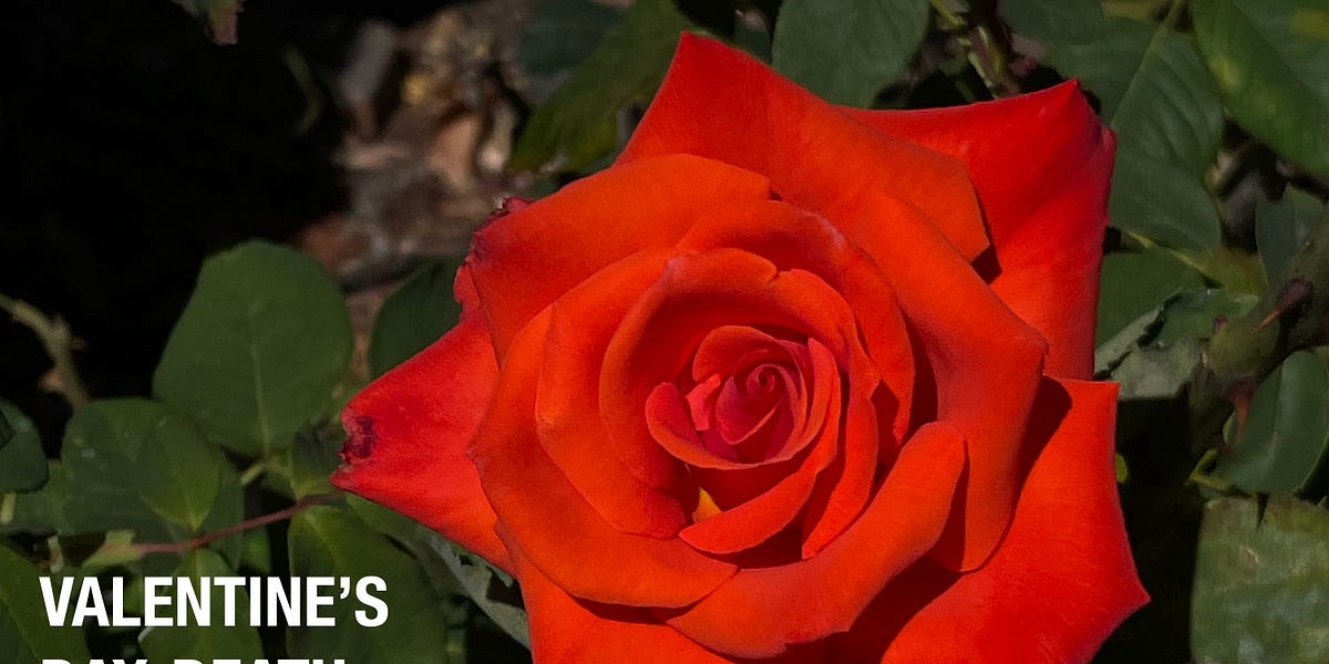 Remembering A Friend - by Cole Hersey